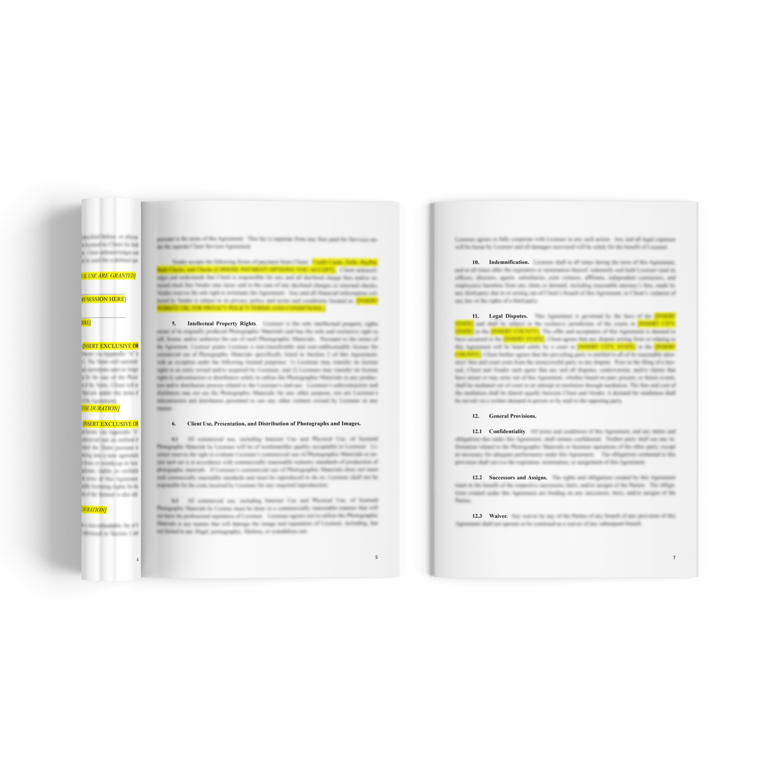 Commercial Image Rights Agreement - Erica + Jon Photography